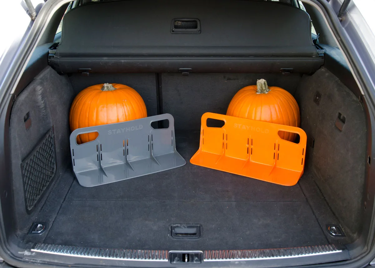 Auria and STAYHOLD® to Develop Unique and Innovative Vehicle Cargo ...