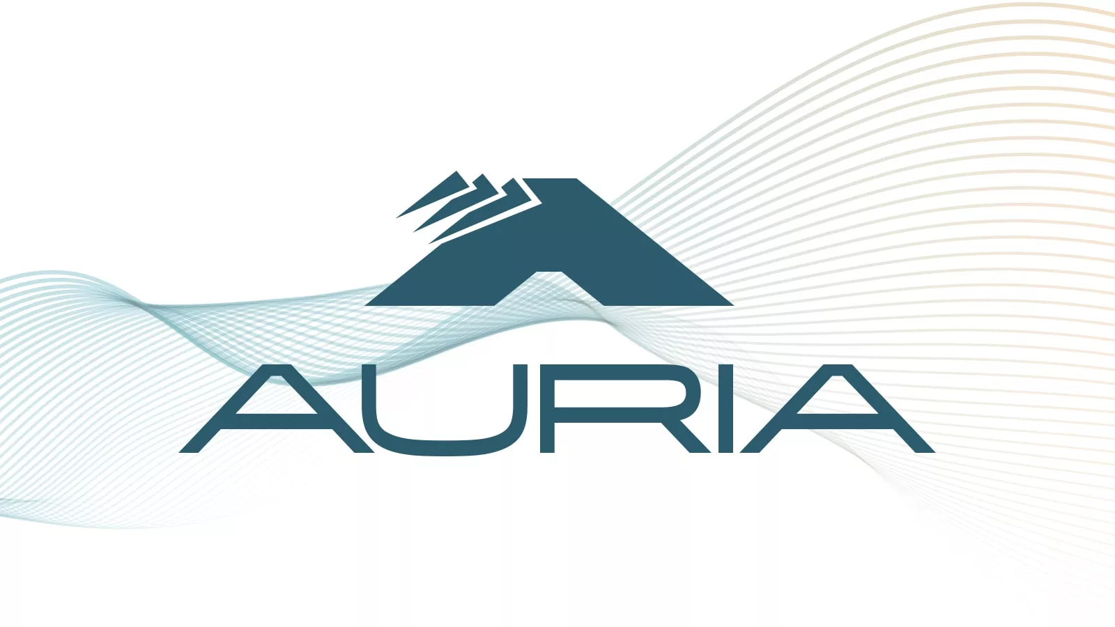 News Archives - Auria Solutions